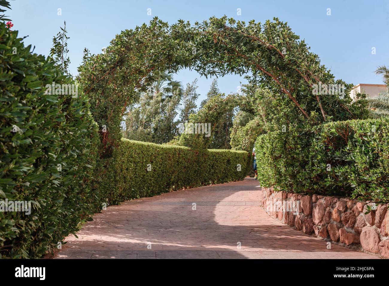 Outdoor Green secret garden with arched entry and gate. Tiled park path ...