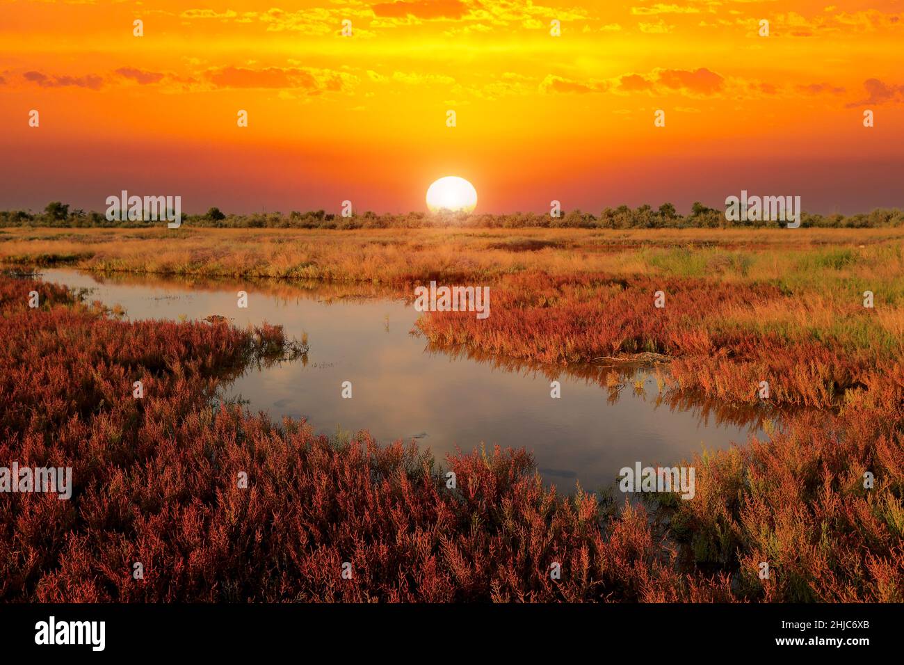 Salt pond park sunset hi-res stock photography and images - Alamy