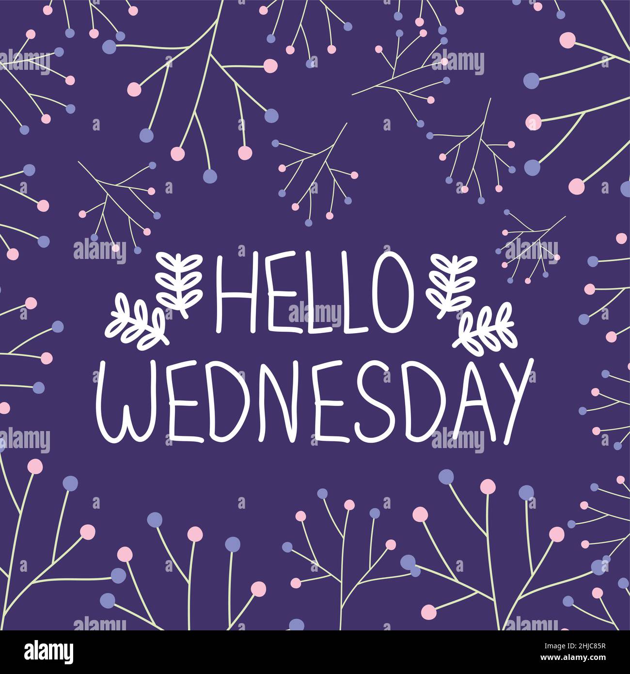 purple hello wednesday design with branches around Stock Vector Image ...