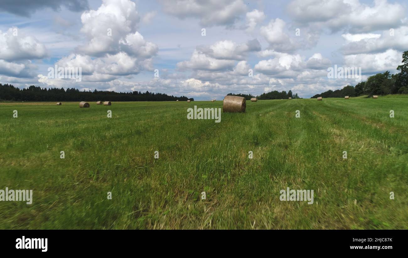 Farming, haymaking concept, large green field on blue cloudy sky ...