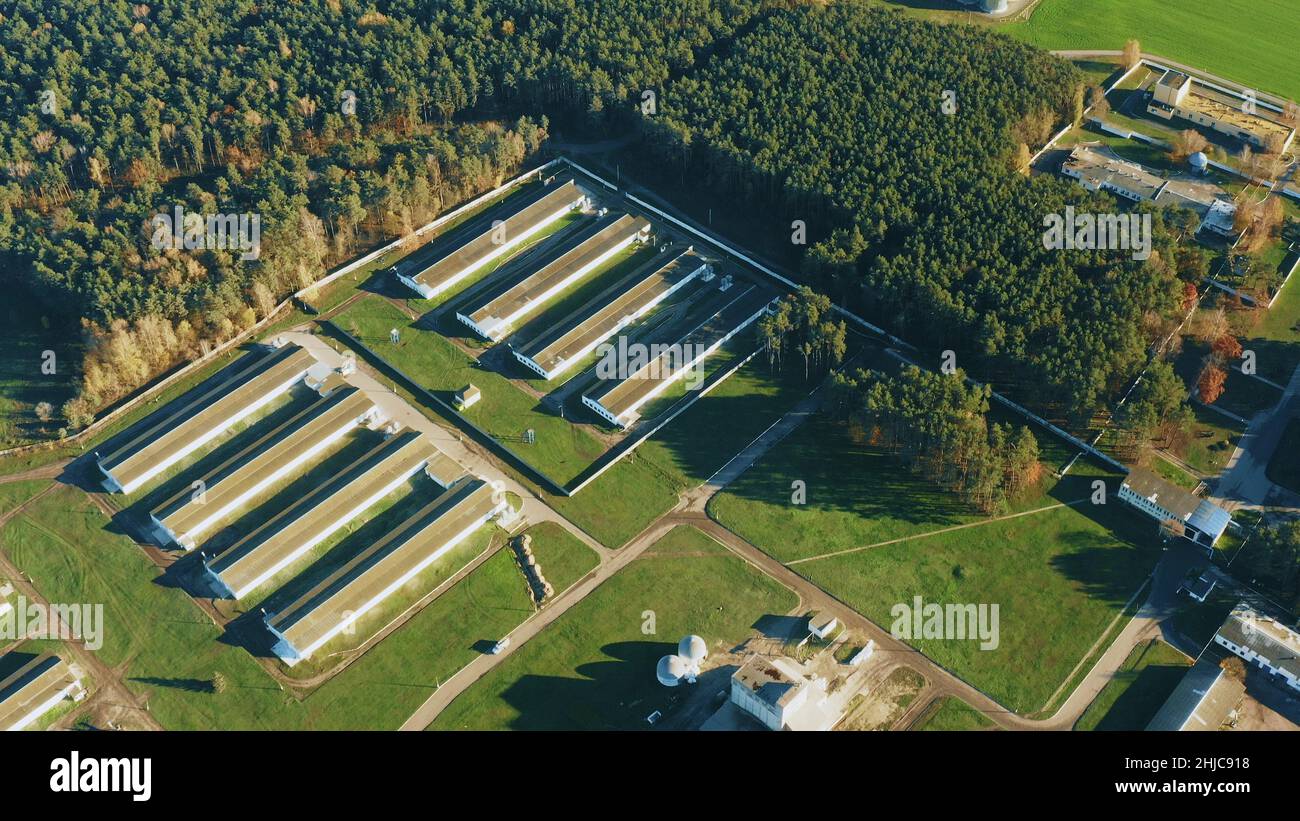 Aerial View Modern chicken farm, barns, Sheds. Bird's-eye View In Sunny ...