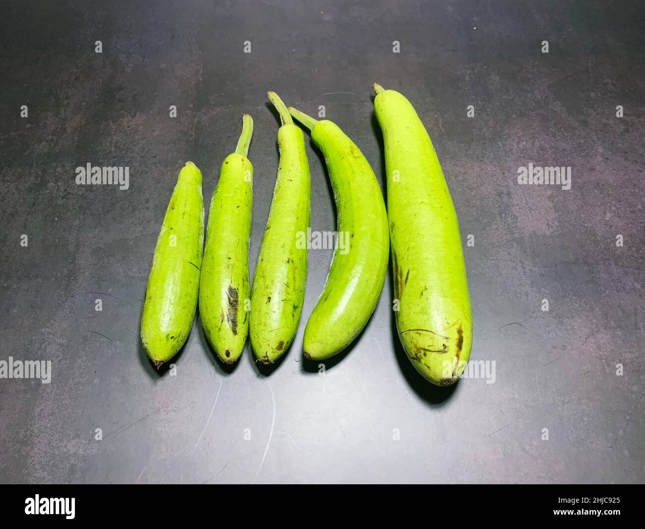 Bottle Gourd Lagenaria Siceraria High Resolution Stock Photography and ...