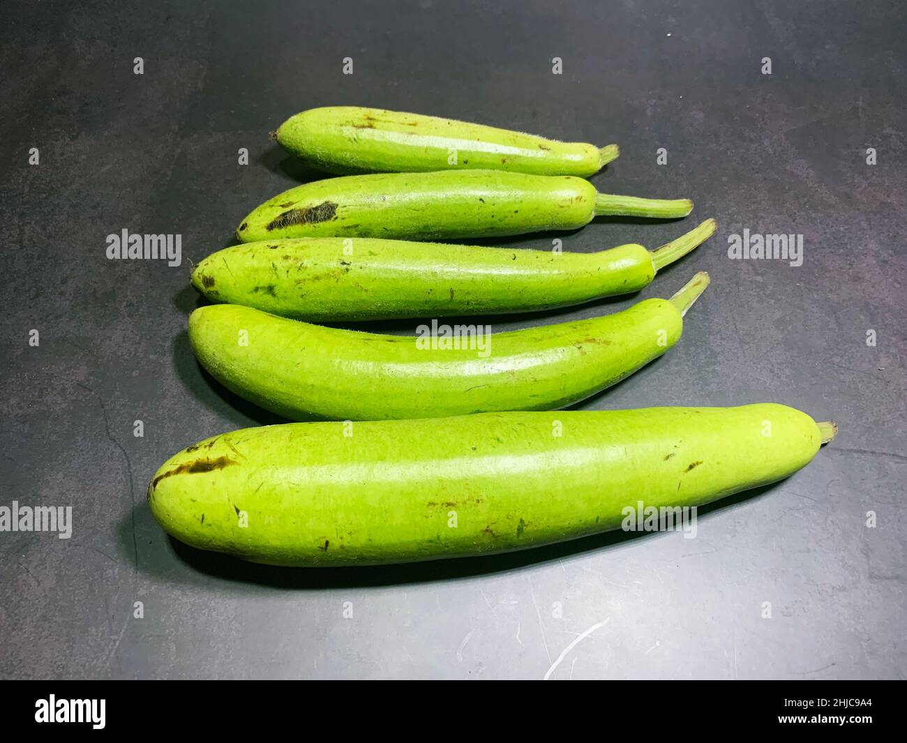 Bottle Gourd Lagenaria Siceraria High Resolution Stock Photography and ...