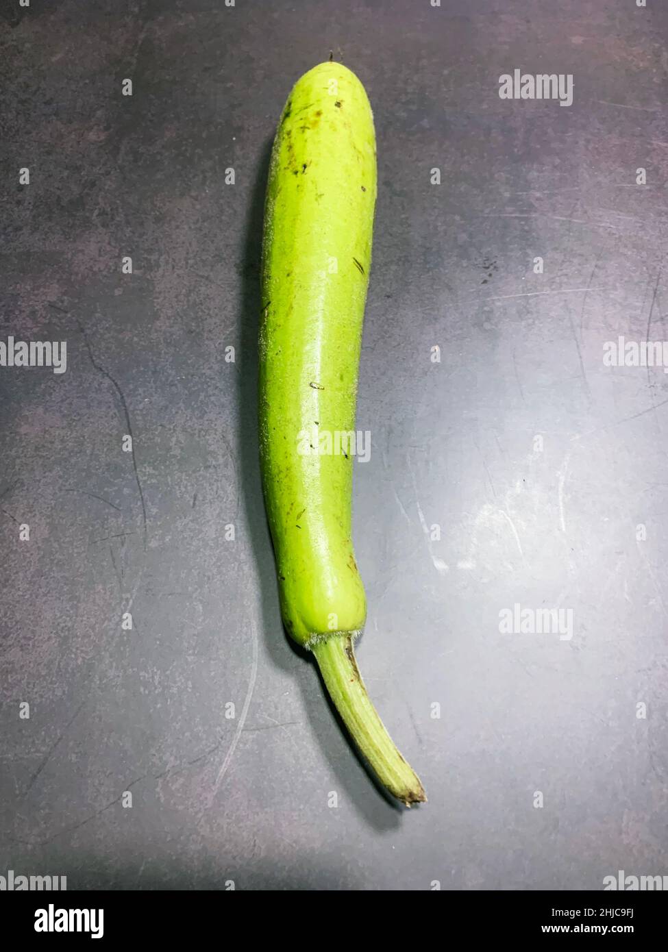Bottle Gourd Lagenaria Siceraria High Resolution Stock Photography and ...