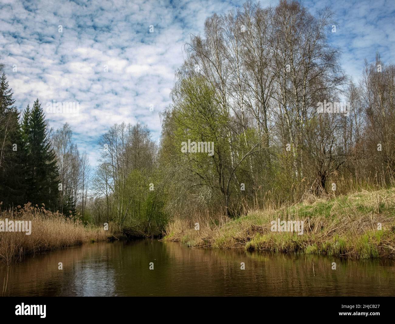 landscape with a small wild river bank, the first spring greenery, last ...