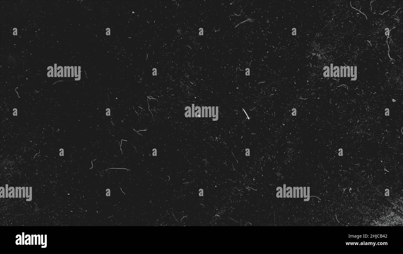 Realistic dust particles on dark background. Abstract animation. White and glow dust particle ...