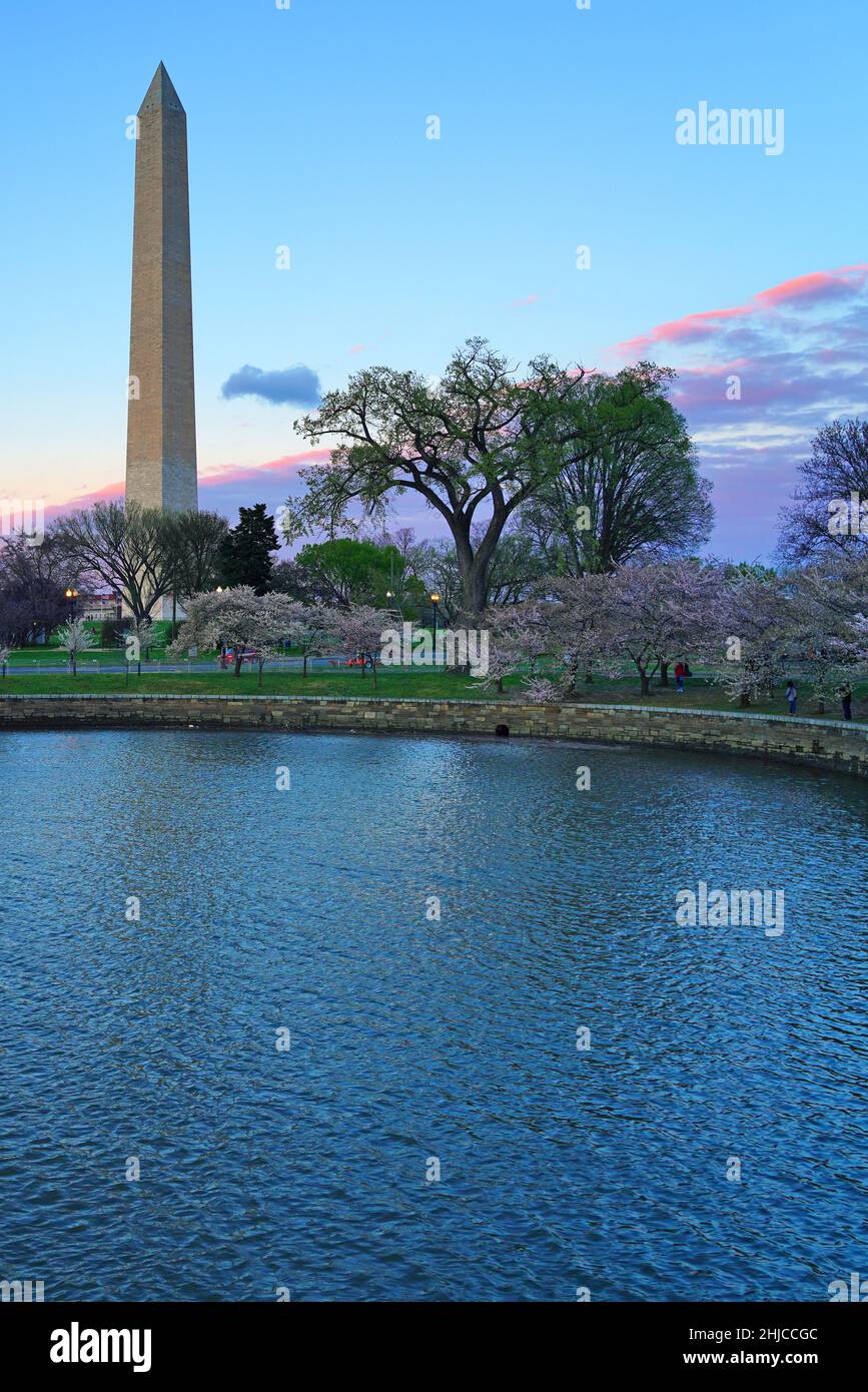 WASHINGTON, DC -1 APR 2021- Night view of the Washington Monument ...