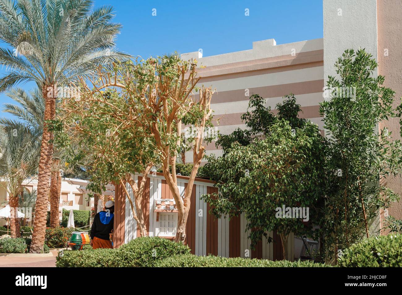 Luxury holiday villa with palm tree Stock Photo - Alamy
