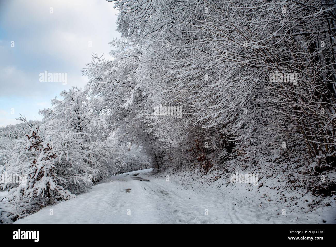 Scenic view of a landscape during winter covered in white snow in ...