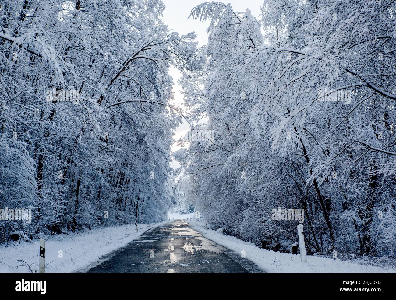 Scenic view of a landscape during winter covered in white snow in ...