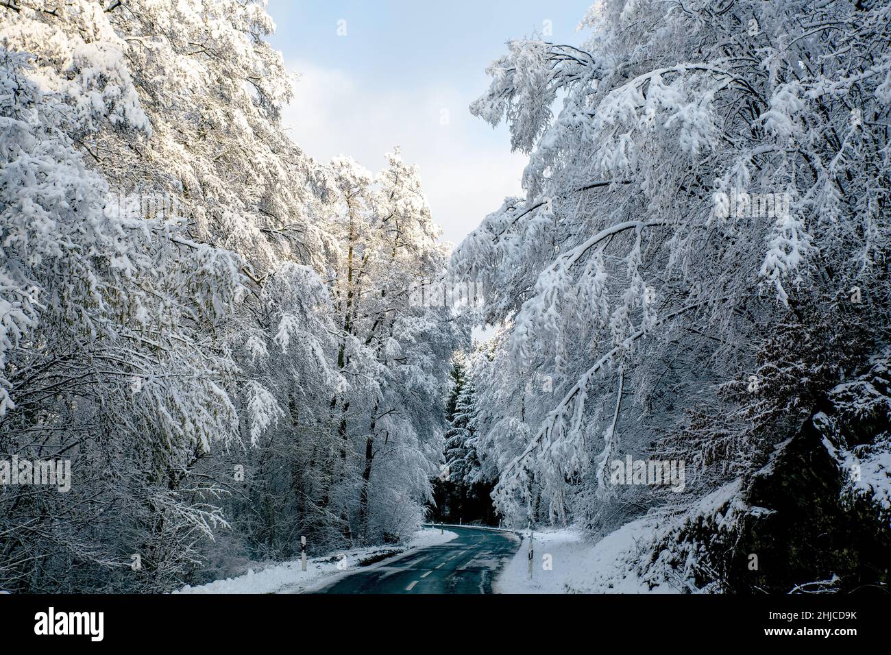 Scenic view of a landscape during winter covered in white snow in ...