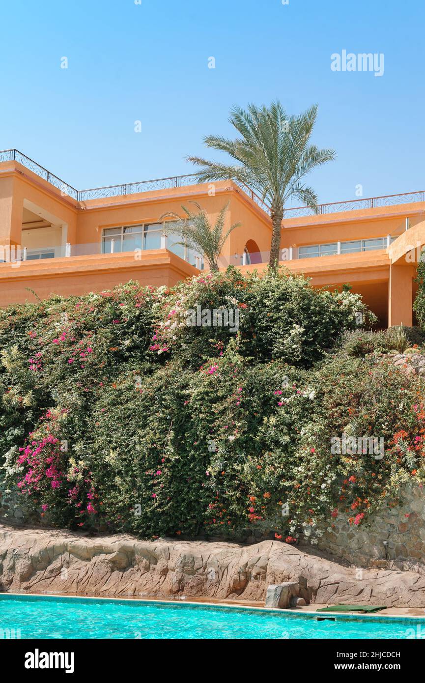 Luxury holiday villa with palm tree Stock Photo - Alamy