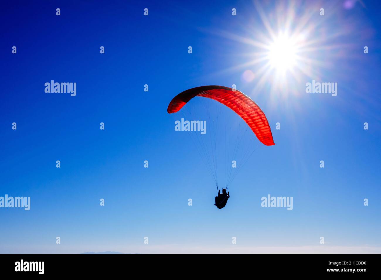 Unleash hi-res stock photography and images - Alamy Unleash hi-res stock photography and images - Alamy