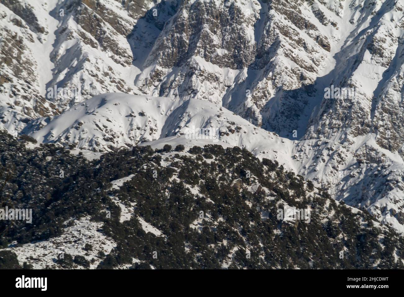 Palampur, Himachal Pradesh, India. 28th Jan, 2022. Peaks of Dhauladhar ...