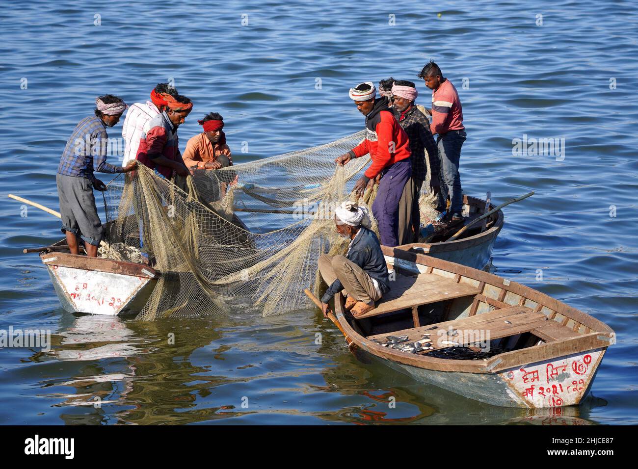Indian fishermen catching fish inside the lake in Ajmer, Rajasthan ...