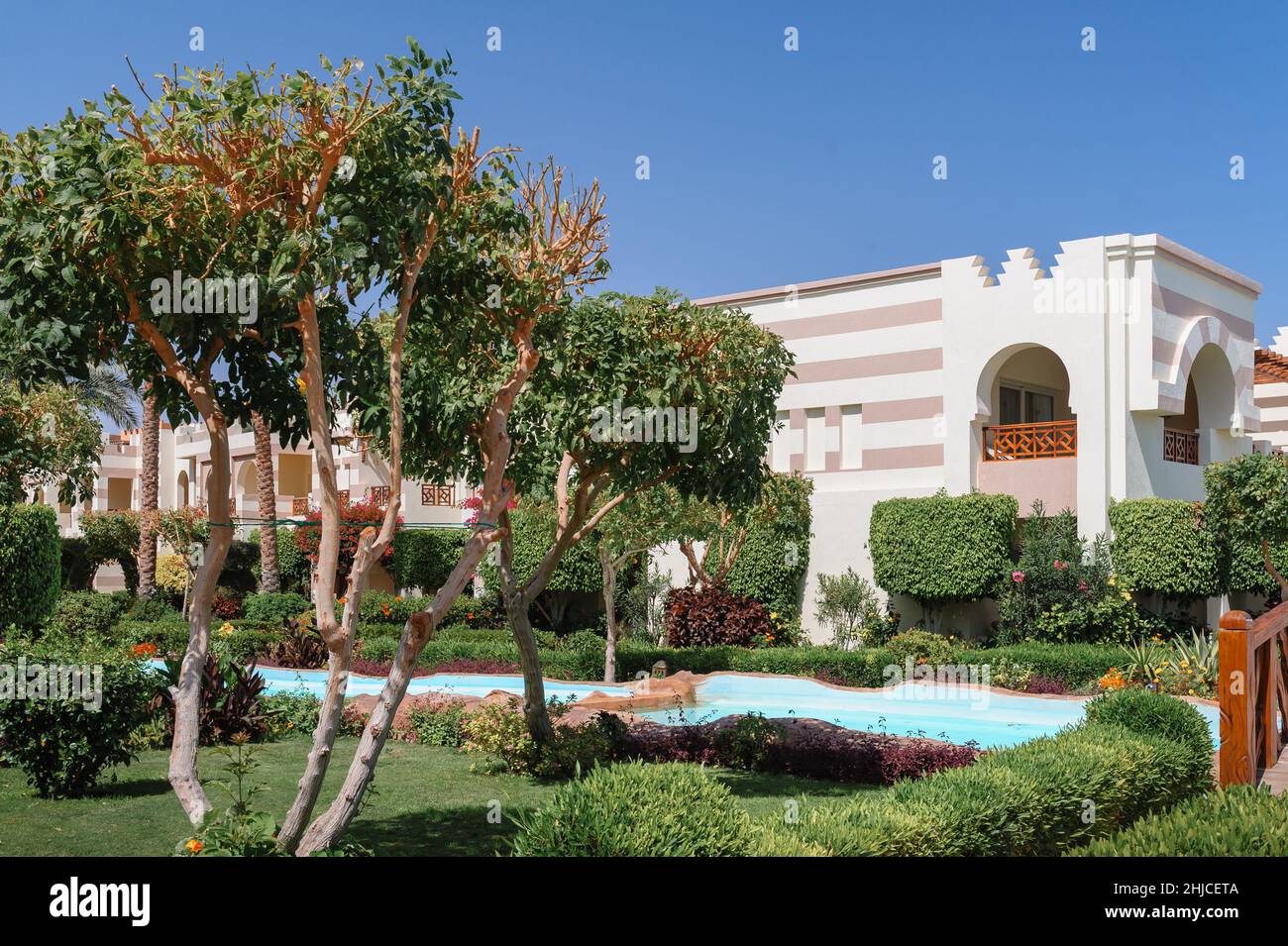 Luxury holiday villa with palm tree Stock Photo - Alamy