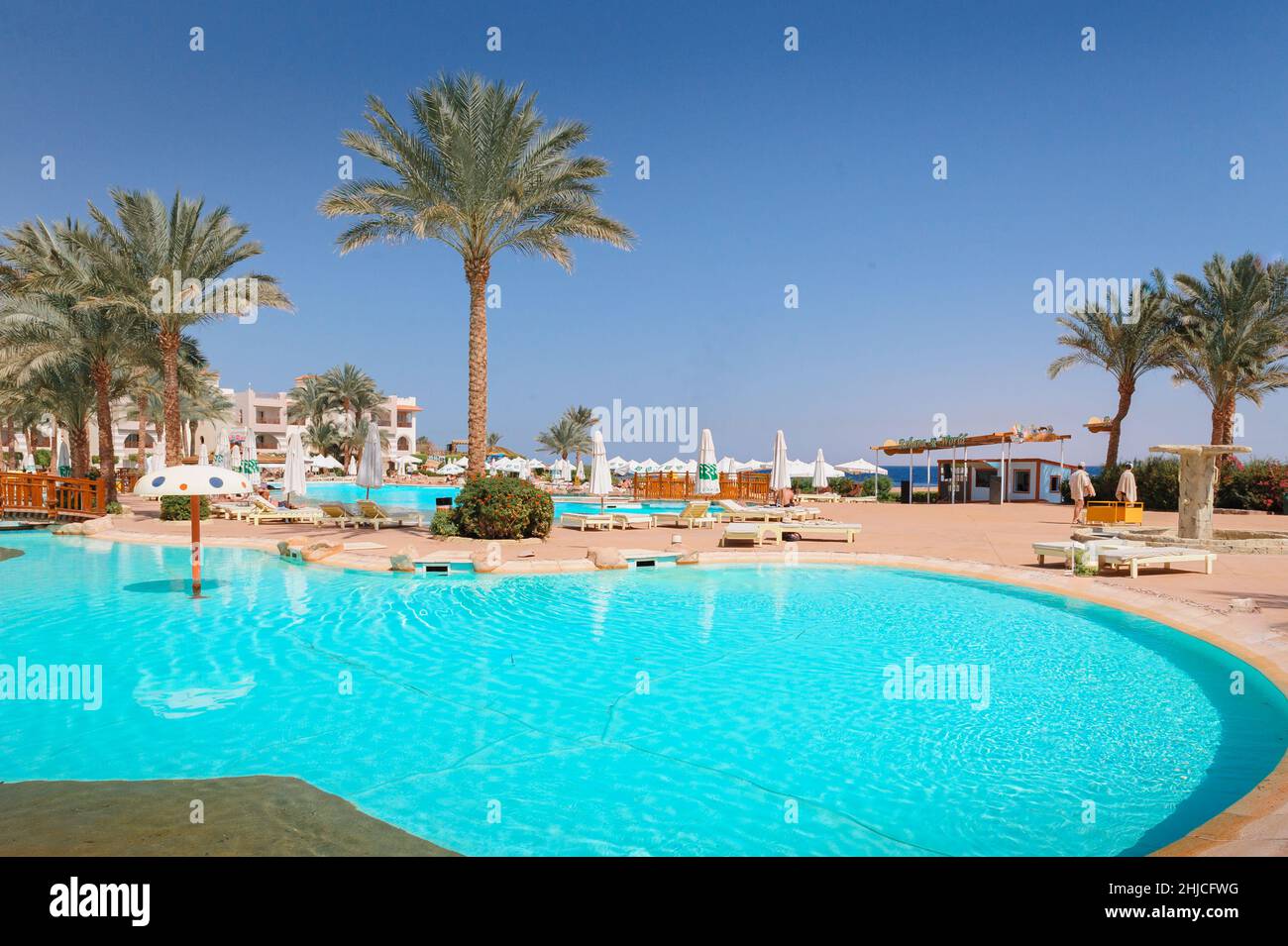 Beautiful swimming pool and palm trees in Egypt Stock Photo - Alamy