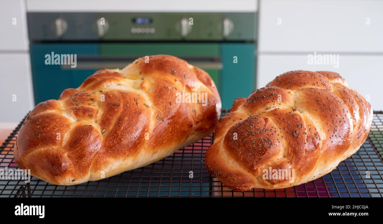 Two traditional home cooked plaited Jewish Challah bread loaves ...