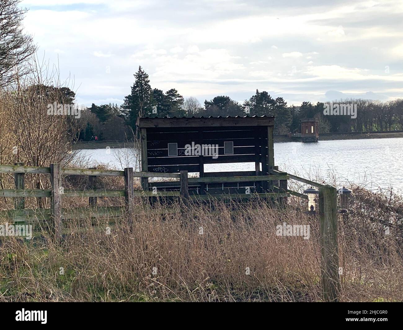 Sywell Country Park Northamptonshire UK countryside water hithe bird ...