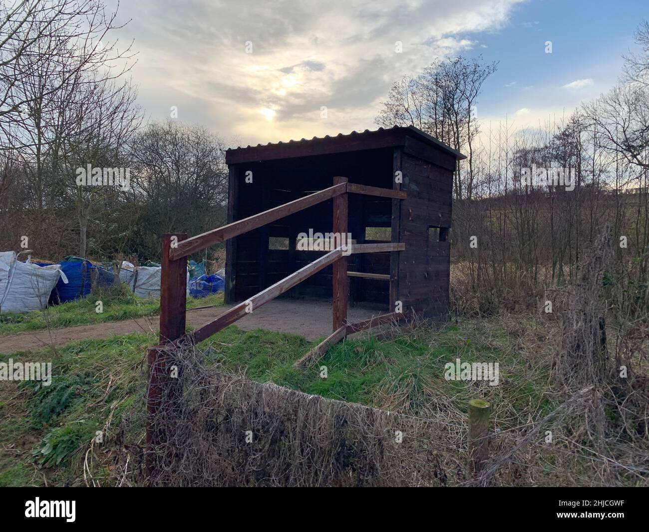 Bird Hithe High Resolution Stock Photography and Images - Alamy