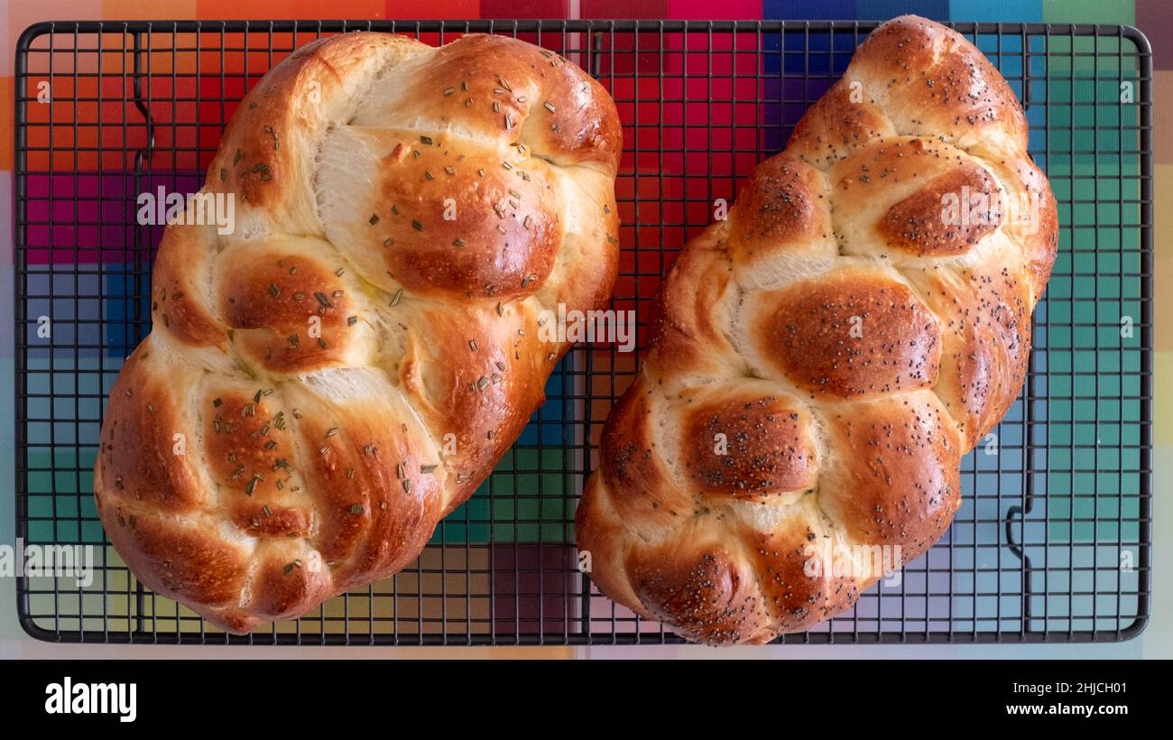 Top view of two home cooked plaited Jewish Challa bread loaves, cooling ...