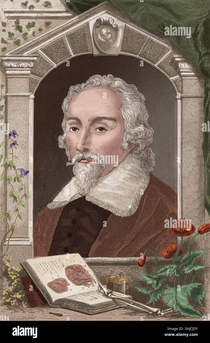 William Harvey (April 11, 1578 - June 3, 1657) was an English physician ...