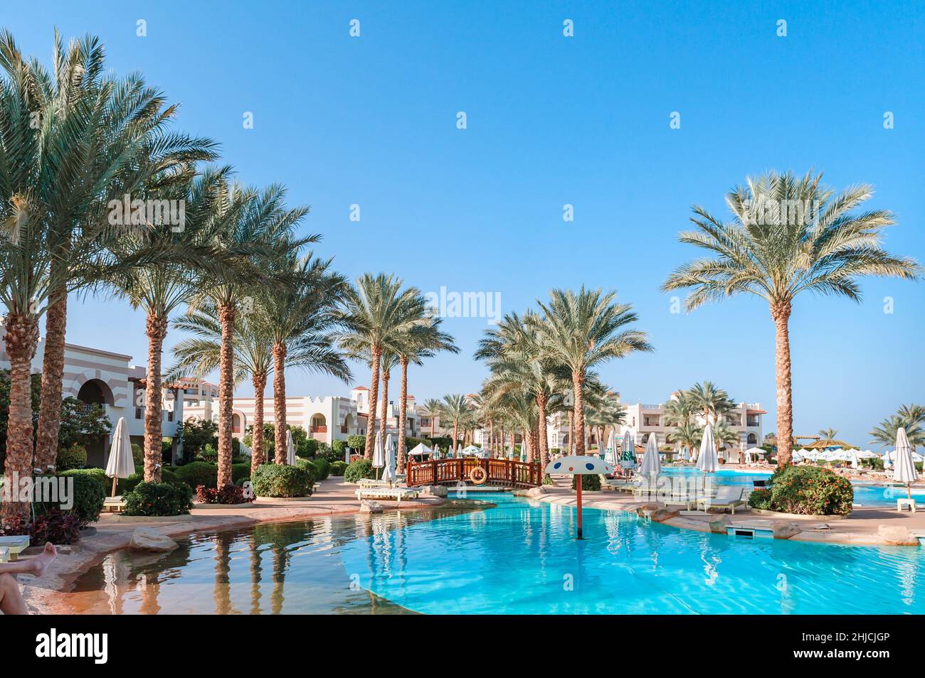 Beautiful swimming pool and palm trees in Egypt Stock Photo - Alamy