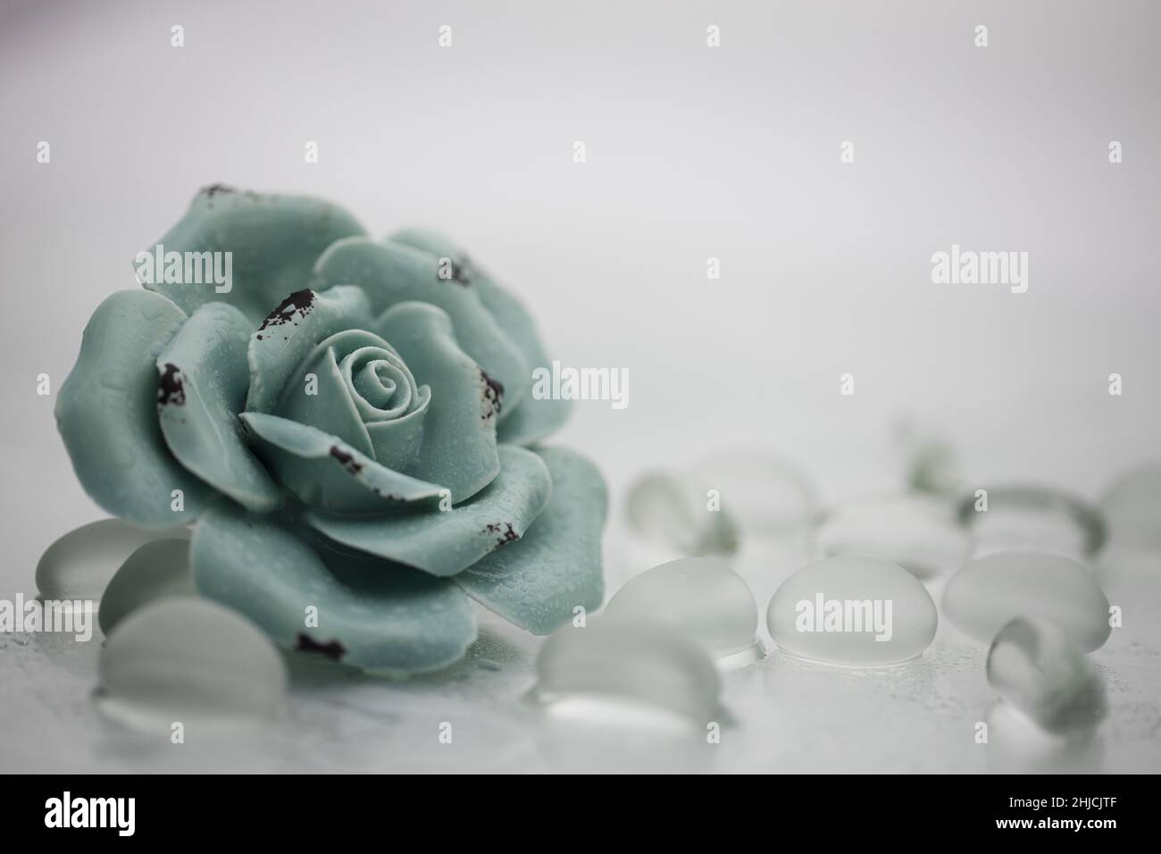 Turquoise rose hi-res stock photography and images - Alamy