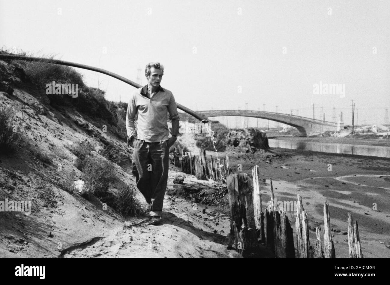 Famous actor person hi-res stock photography and images - Alamy