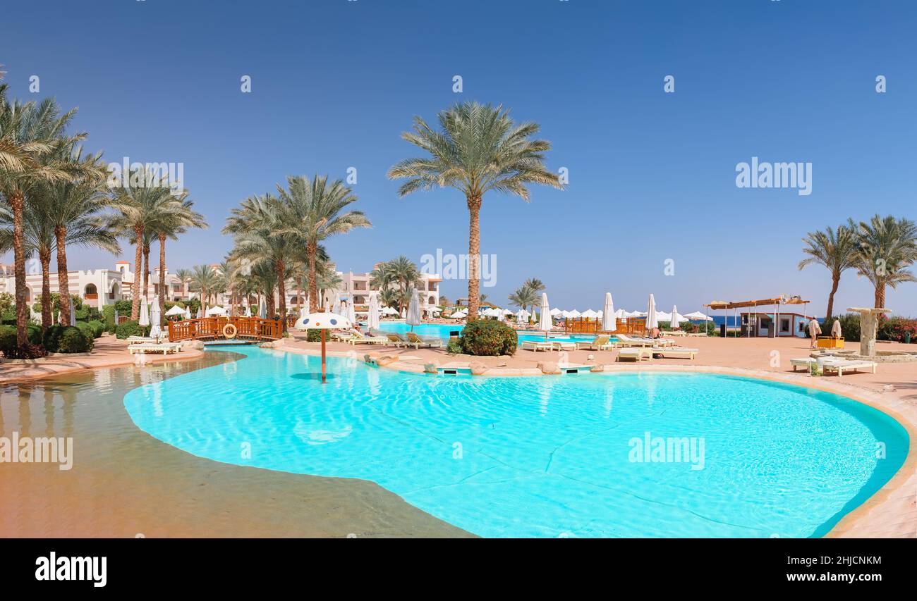 Beautiful swimming pool and palm trees in Egypt Stock Photo - Alamy