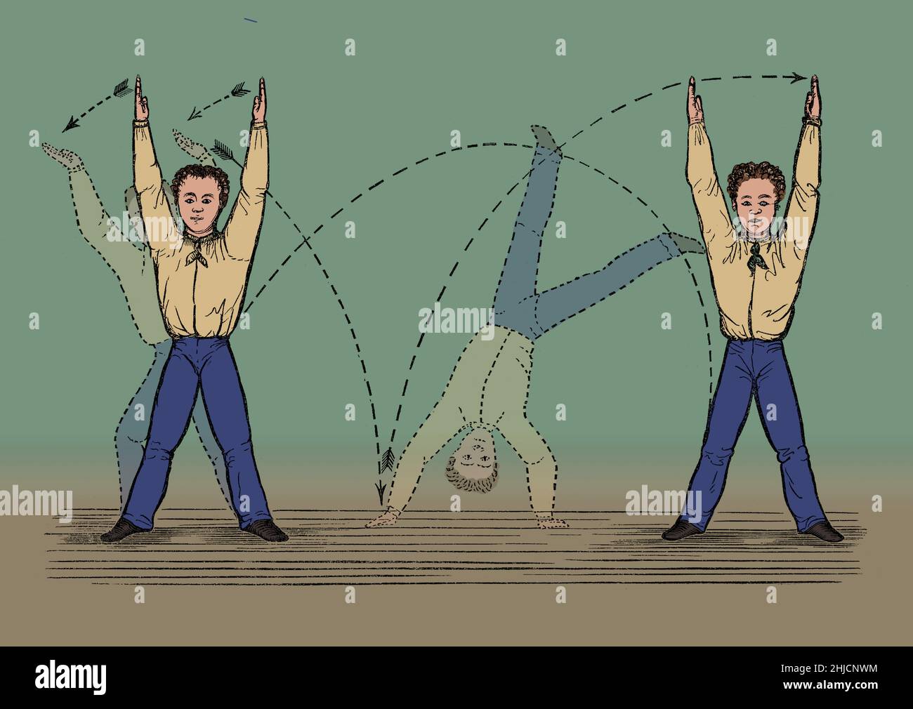 A cartwheel is a sideways rotary movement of the body. It is performed ...