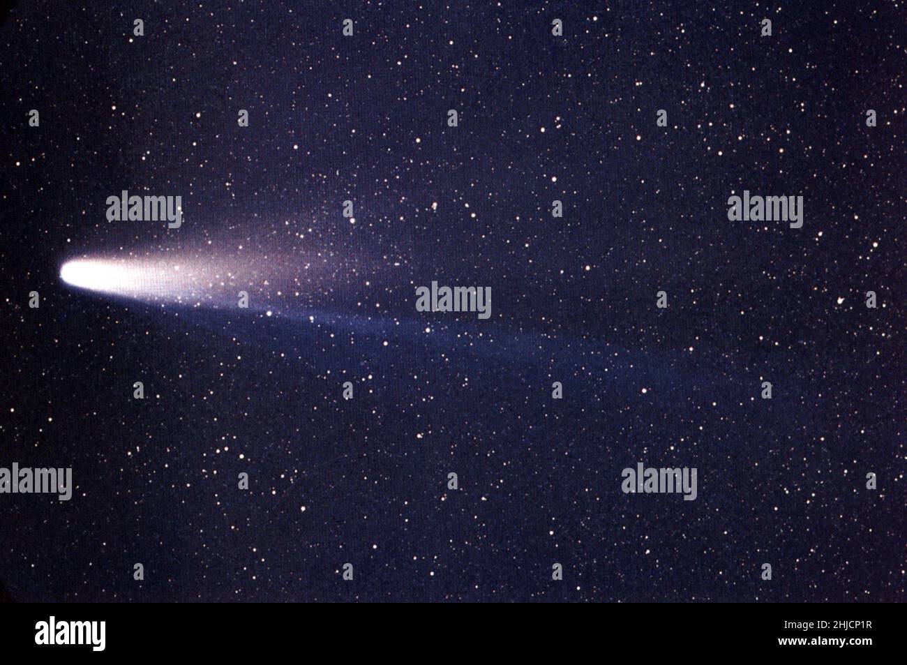 Comet 1P/Halley (Halley's Comet) as taken March 8, 1986 by W. Liller ...