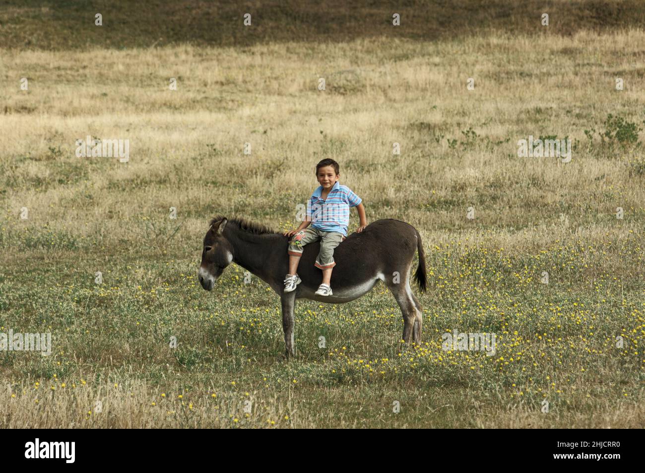 child on donkey in rural area of Turkey Stock Photo - Alamy