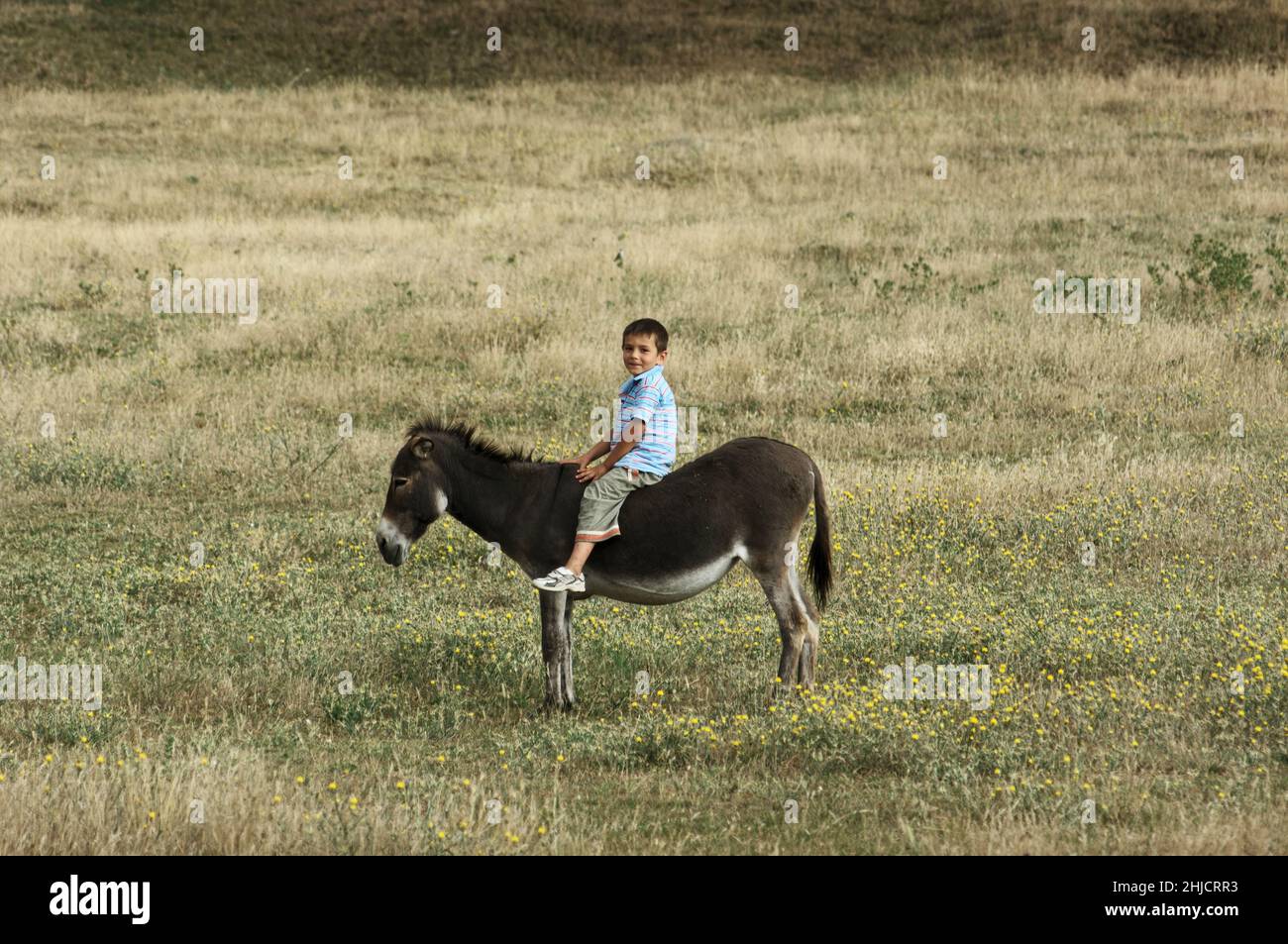 child on donkey in rural area of Turkey Stock Photo - Alamy