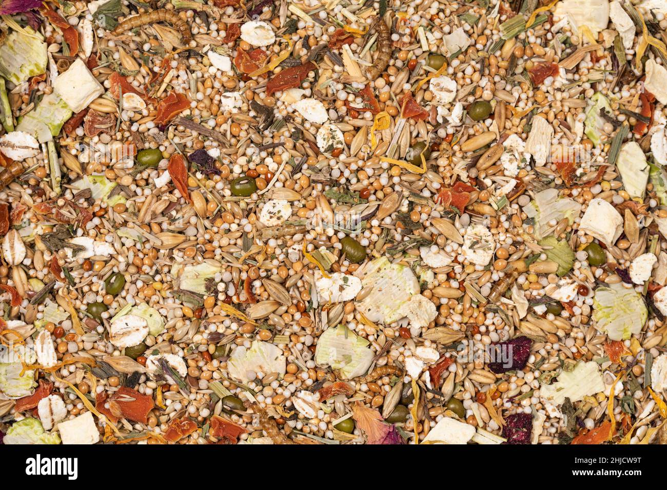 Food macro shot hi-res stock photography and images - Alamy