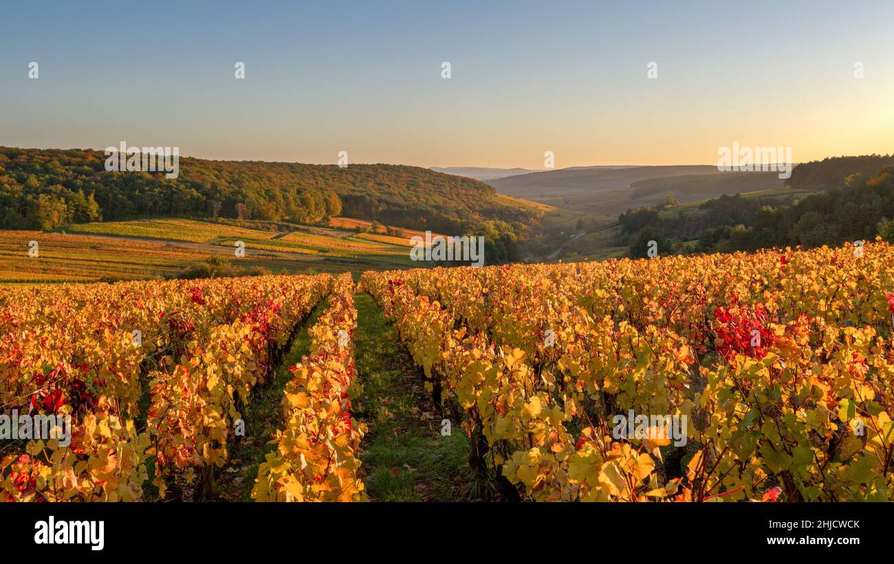 Burgundy landscape hi-res stock photography and images - Alamy