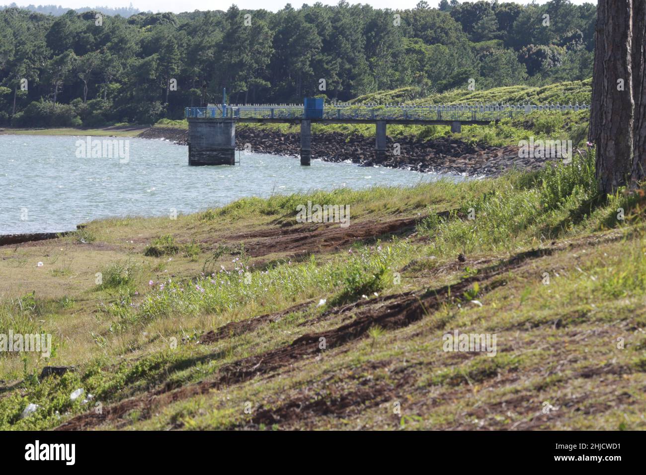 Mare aux Vacoas is the largest reservoir in Mauritius. It is located in ...