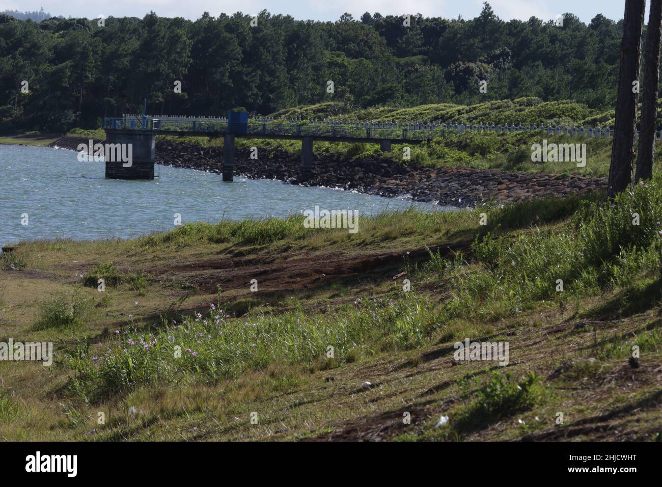 Mare aux Vacoas is the largest reservoir in Mauritius. It is located in ...