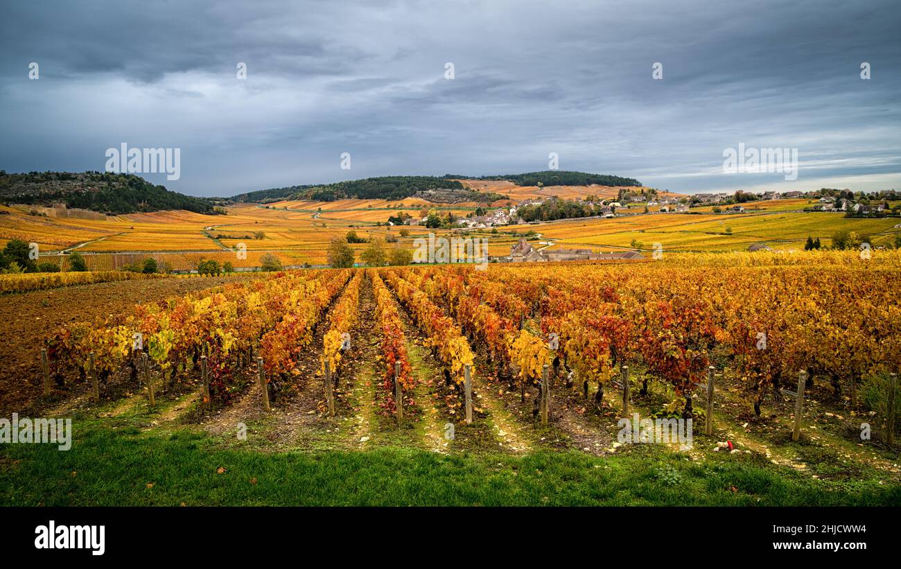 Burgundy landscape hi-res stock photography and images - Alamy