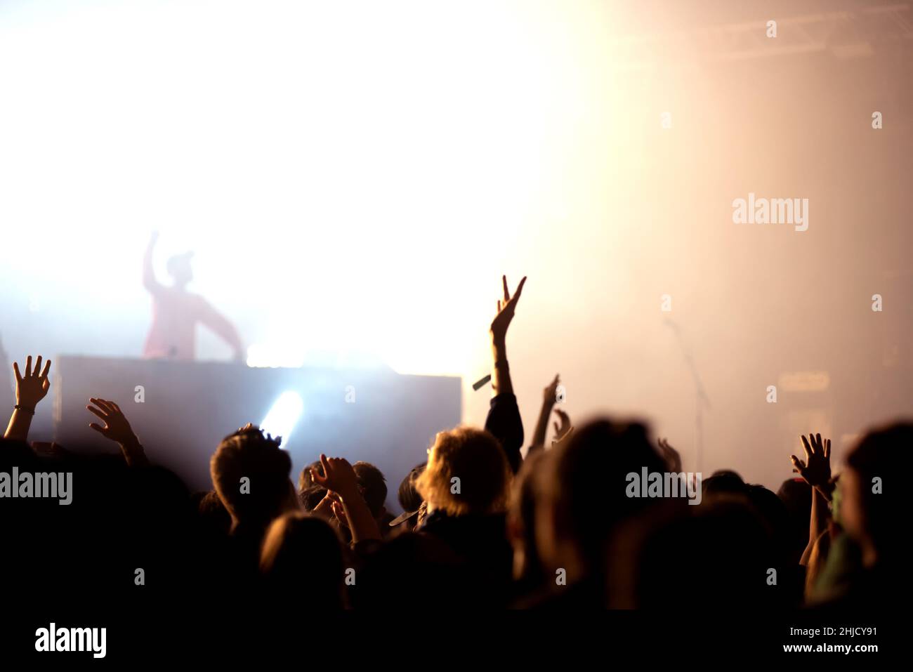 Crowd of people clubbing at live concert at music festival Stock Photo ...