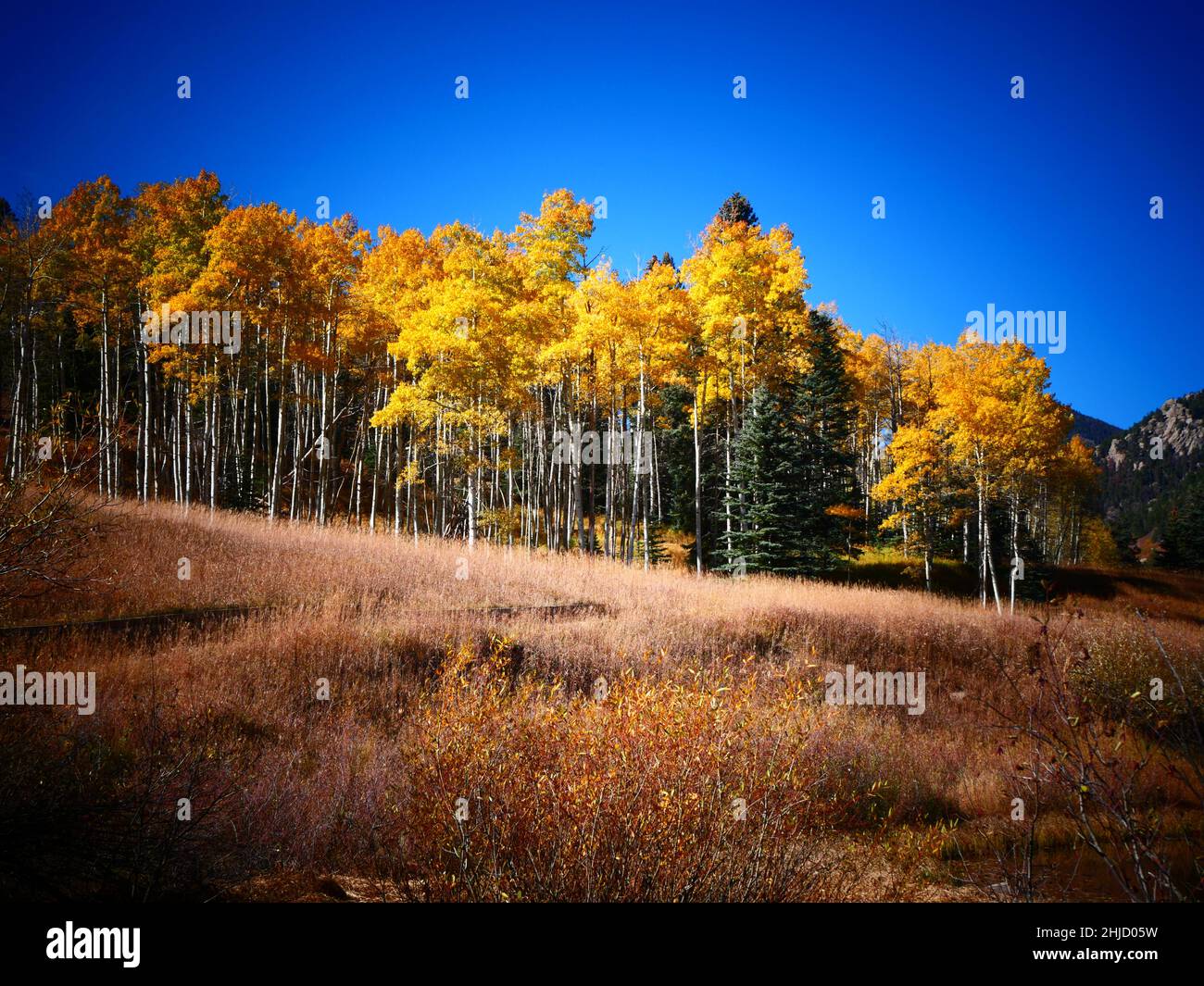 San Isabel Lake, Rye, Colorado- Season Change Stock Photo - Alamy