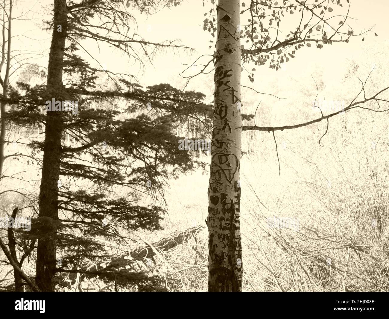 Lost lake colorado hi-res stock photography and images - Alamy