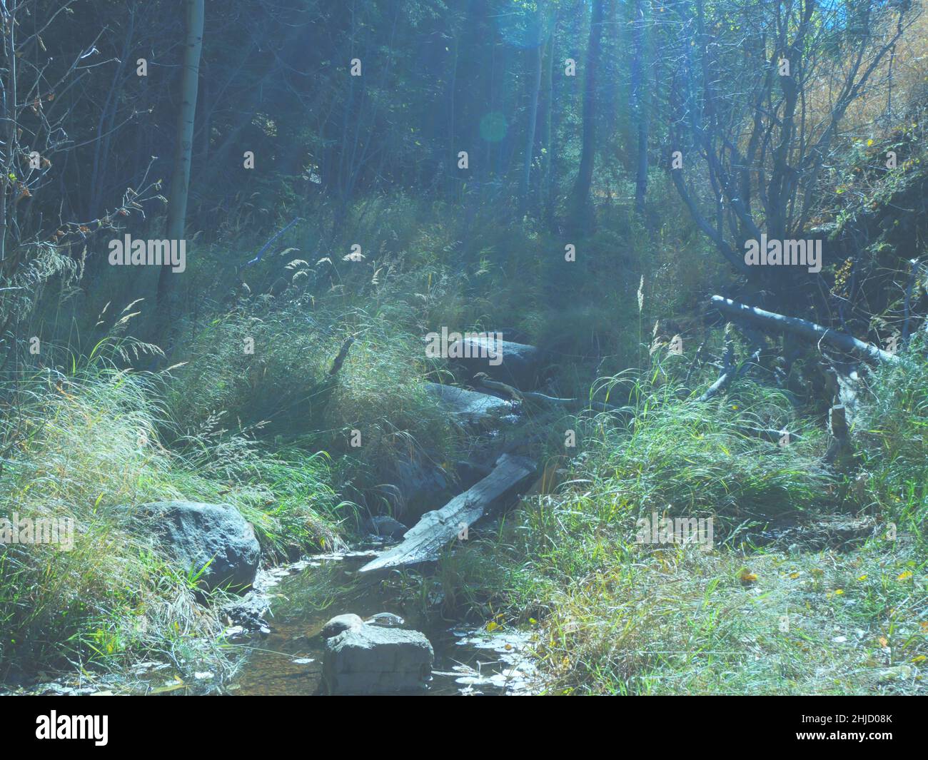 San Isabel Lake, Rye, Colorado- Dreamy Stream Stock Photo - Alamy San Isabel Lake, Rye, Colorado- Dreamy Stream Stock Photo - Alamy