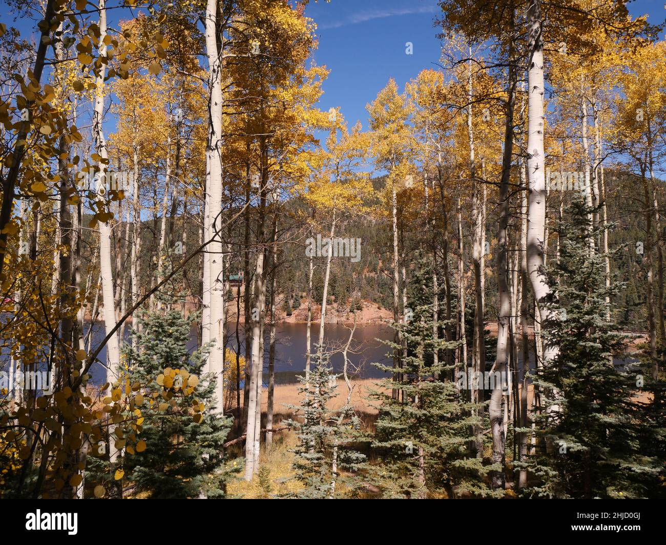 San Isabel Lake, Rye, Colorado Stock Photo - Alamy