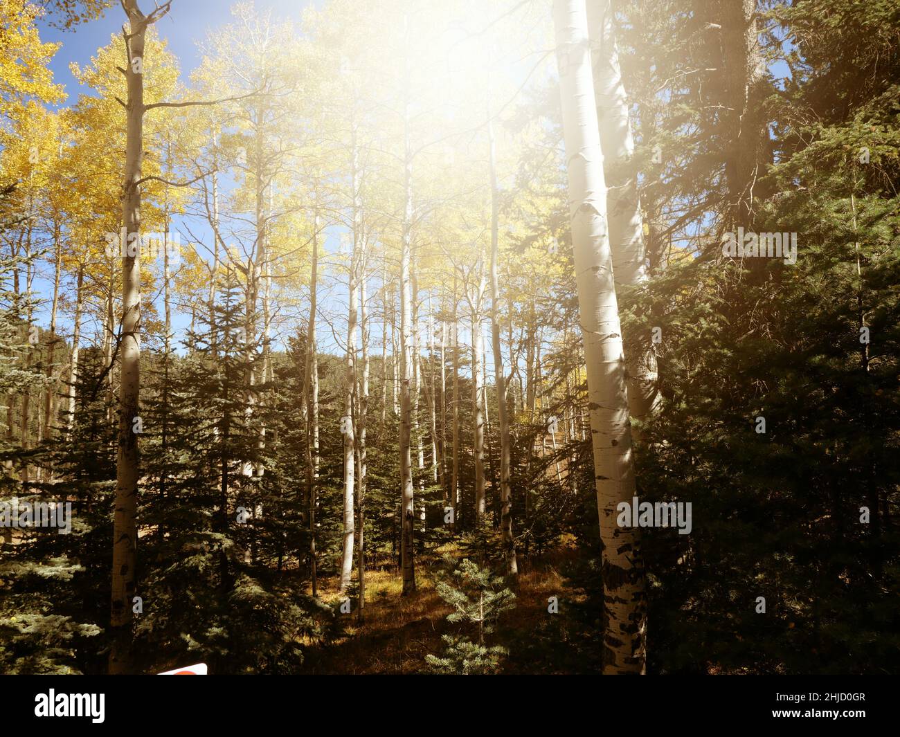 Let the sunshine in hi-res stock photography and images - Alamy