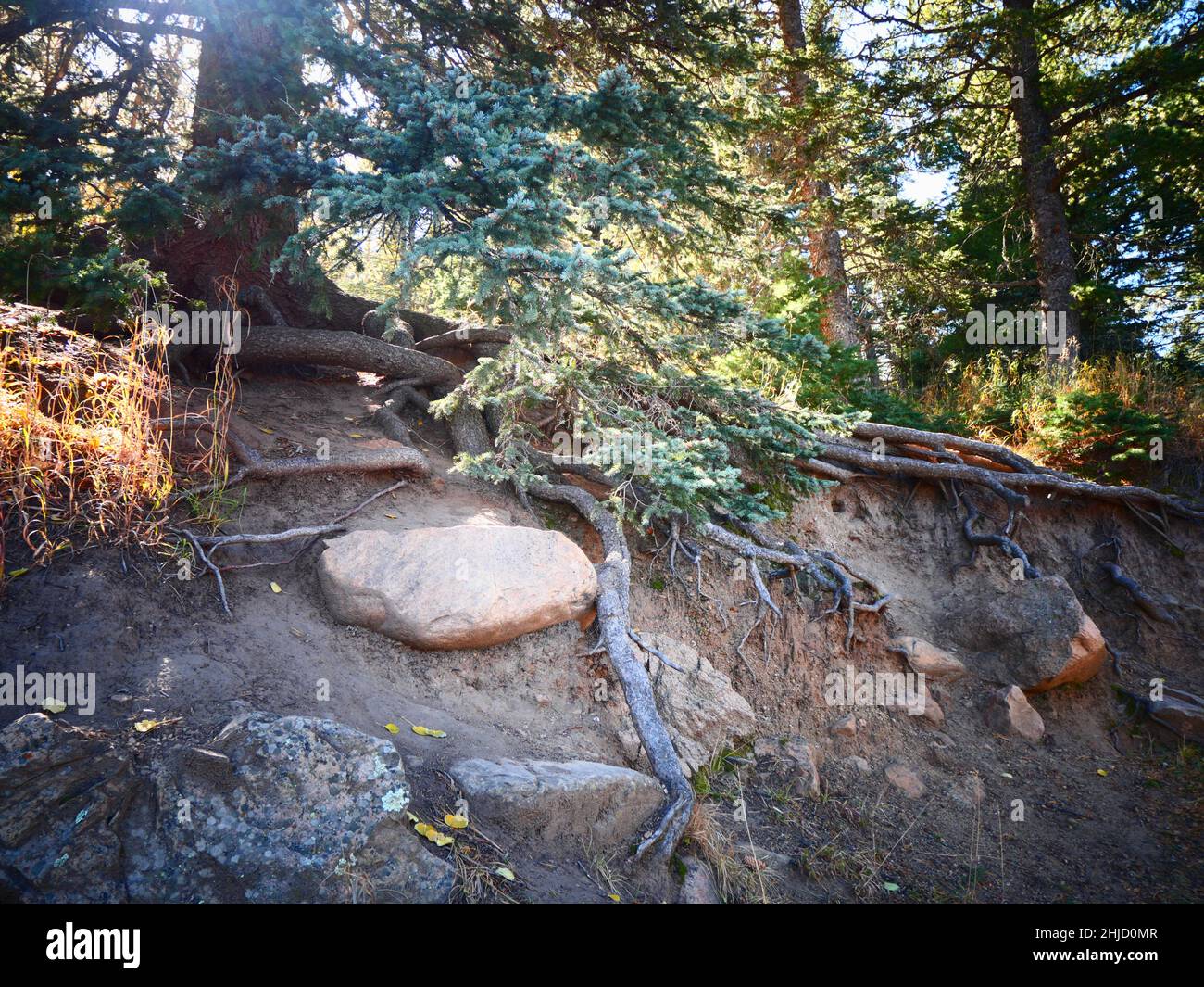 San Isabel Lake, Rye, Colorado Stock Photo - Alamy