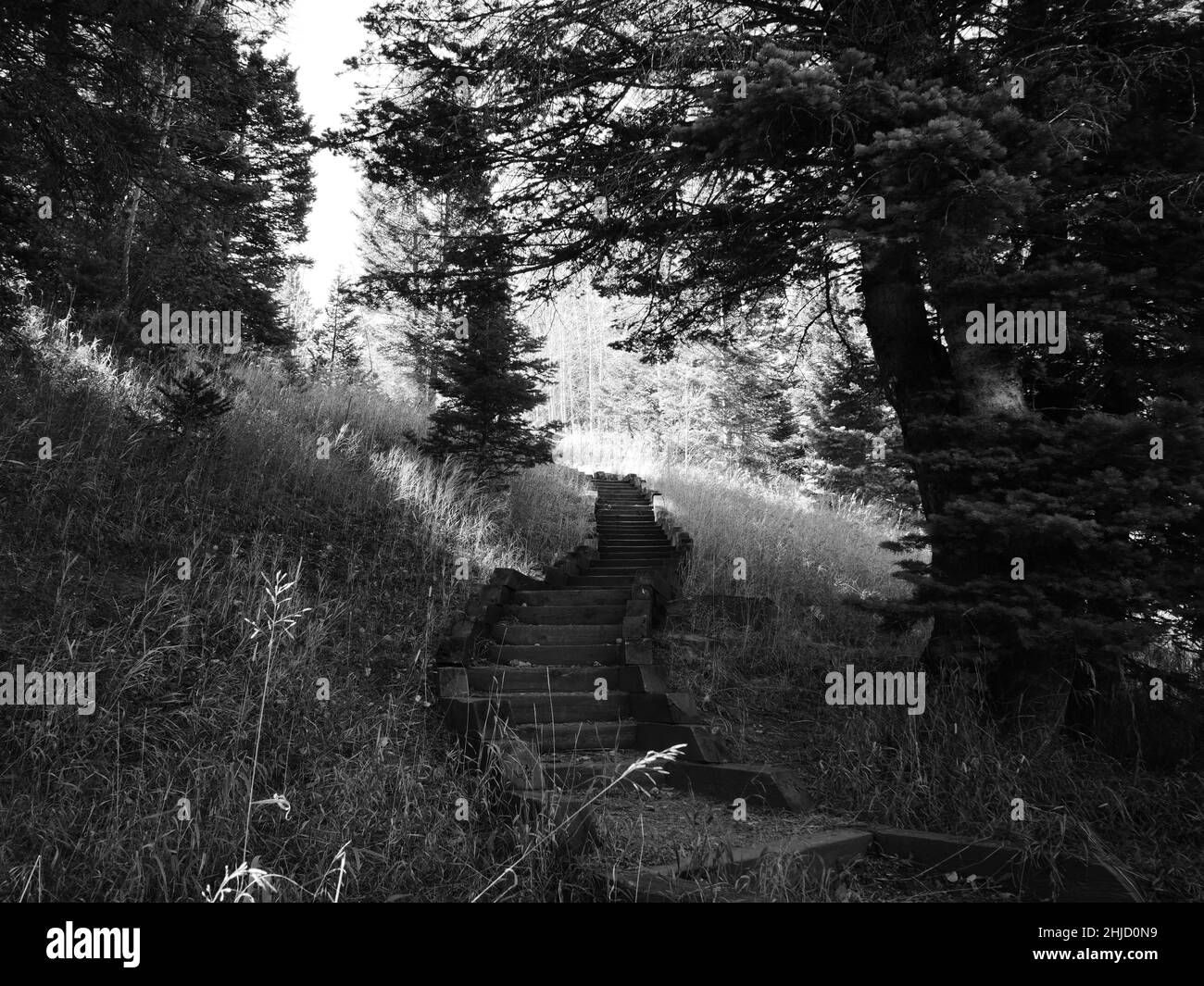 San Isabel Lake, Rye, Colorado- Cursed Stairway Stock Photo - Alamy