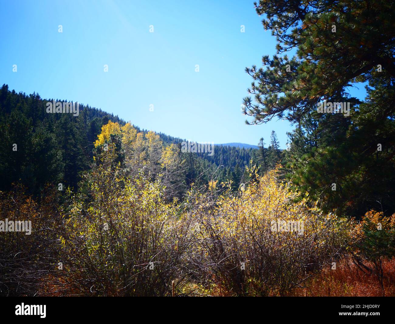San Isabel Lake, Rye, Colorado Stock Photo - Alamy