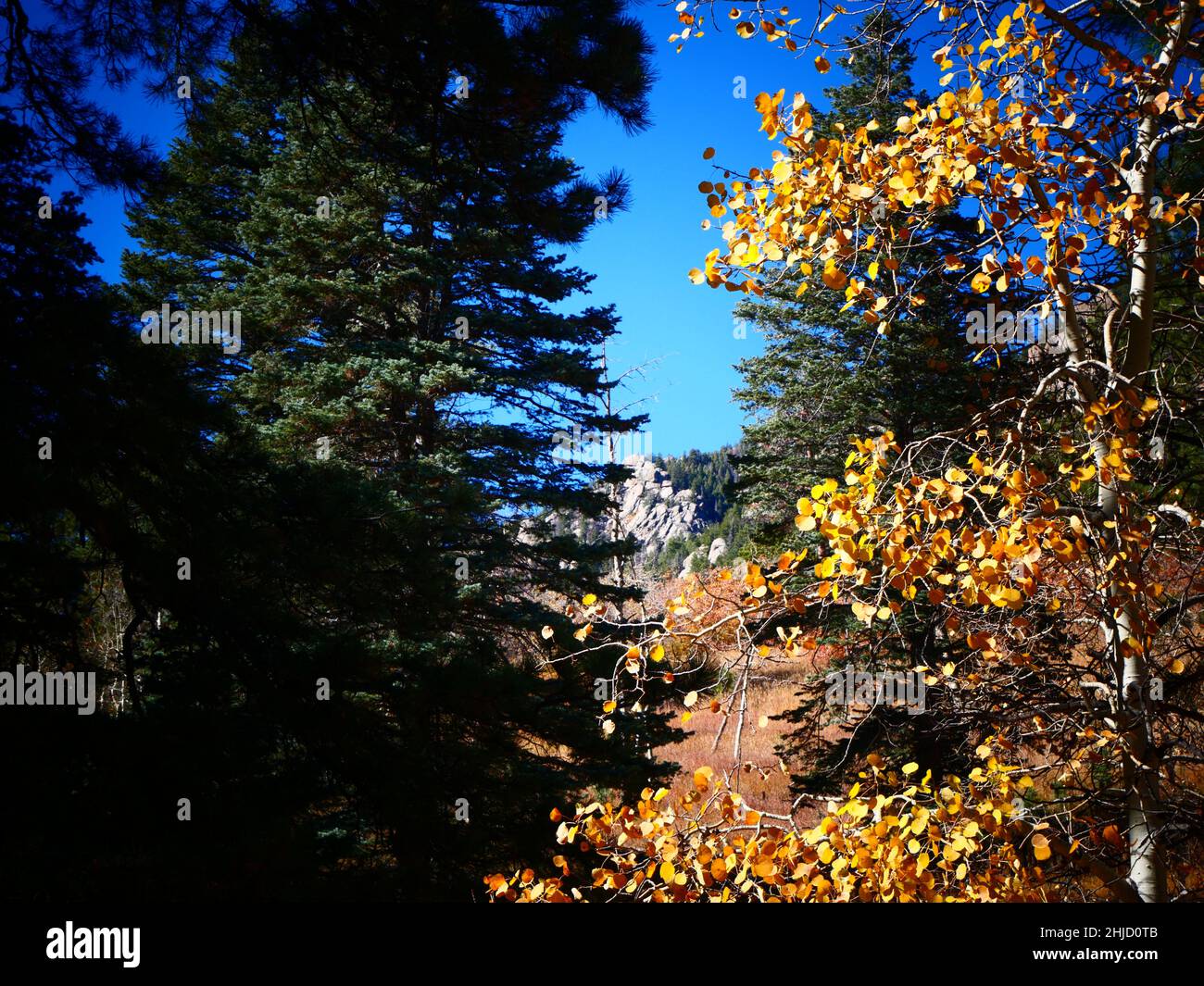 San Isabel Lake, Rye, Colorado Stock Photo - Alamy