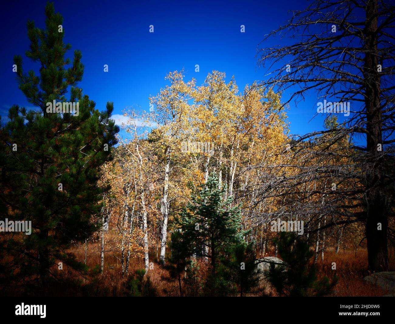 San Isabel Lake, Rye, Colorado Stock Photo - Alamy